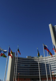 UNTOC Archives | Global Initiative