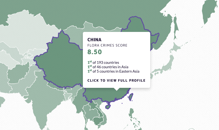 Luxury at a cost: China's involvement in environmental crime | Global ...