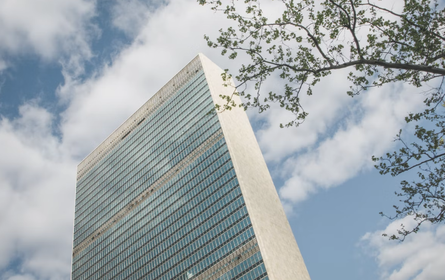 UN - Security and Rights | Global Initiative