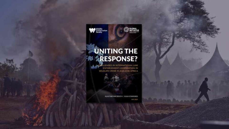 Challenges in international law enforcement cooperation in wildlife ...