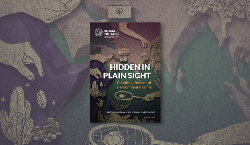 Hidden in plain sight | Global Initiative