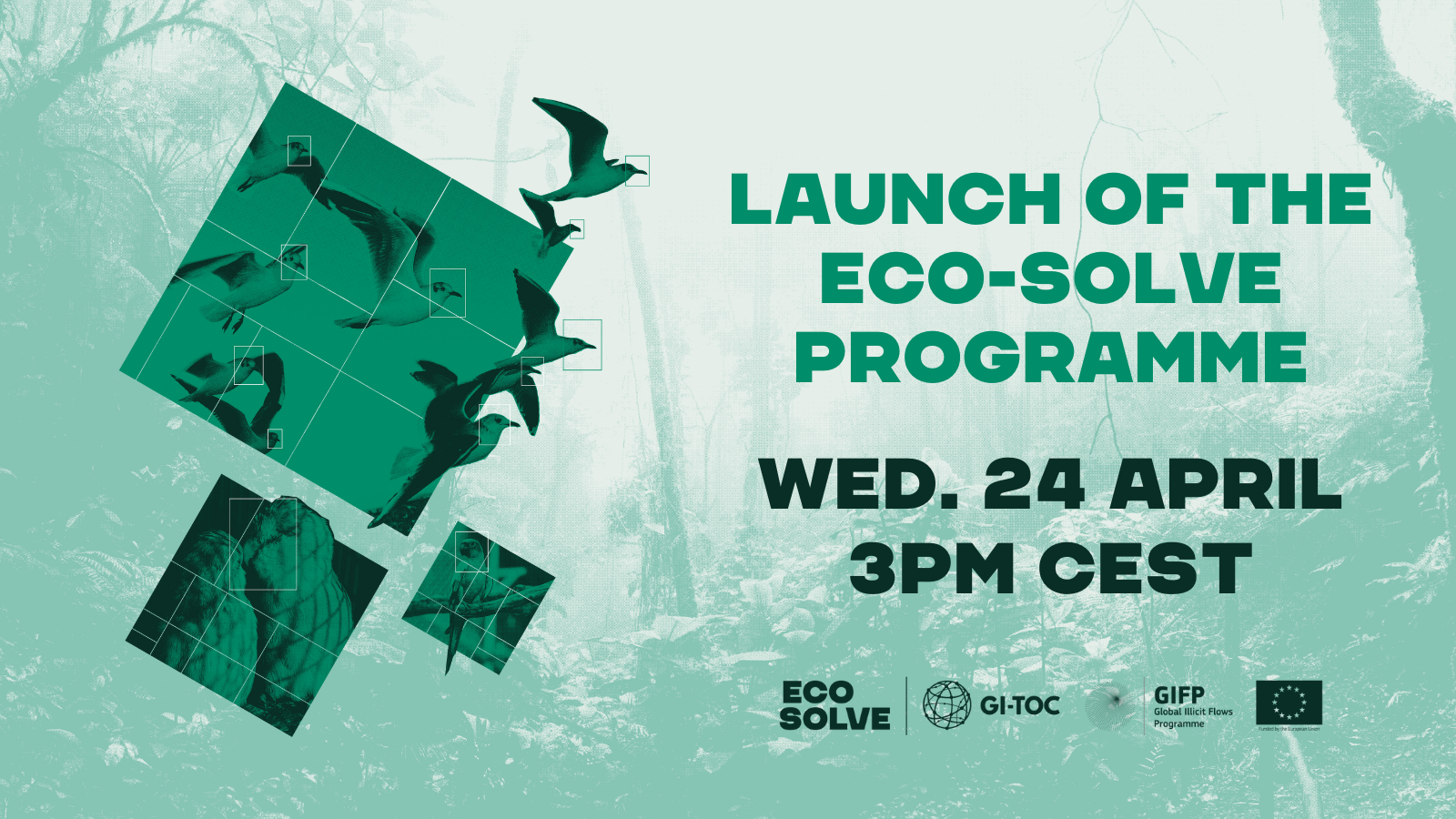 The GI-TOC launches ECO-SOLVE programme to disrupt illicit ...