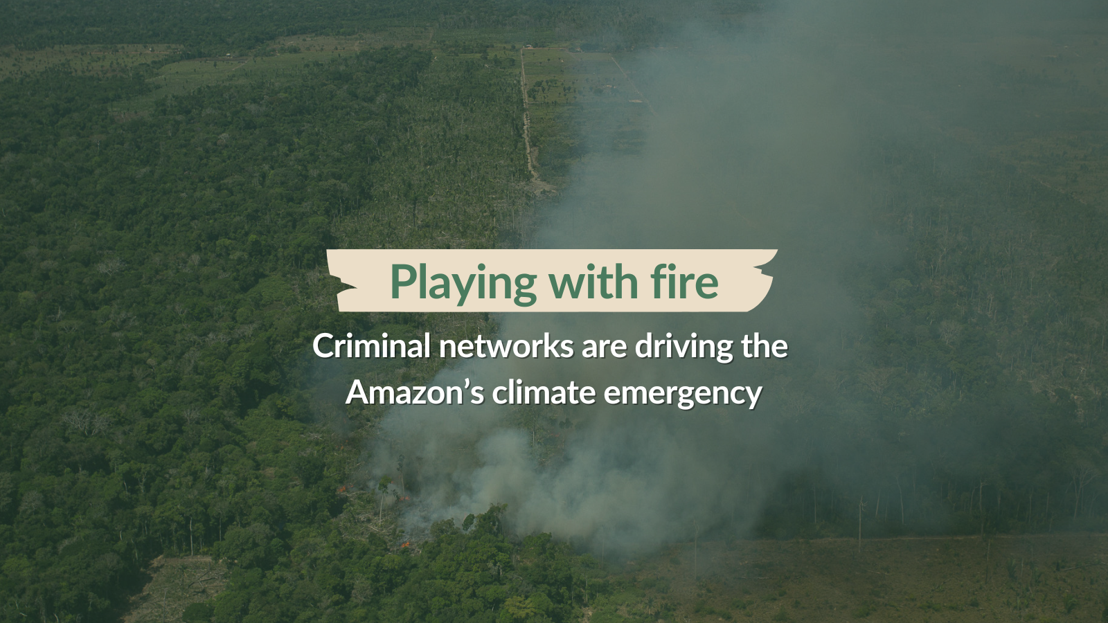 Criminal networks are driving the Amazon’s climate emergency | Global ...