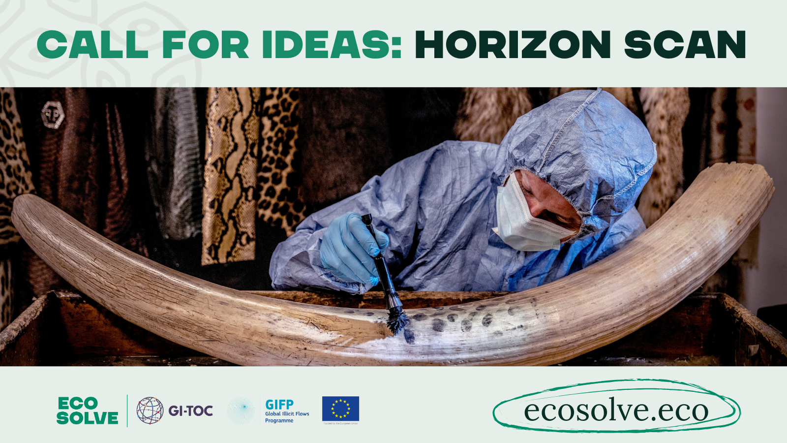 Call for ideas: Horizon Scan | Global Initiative