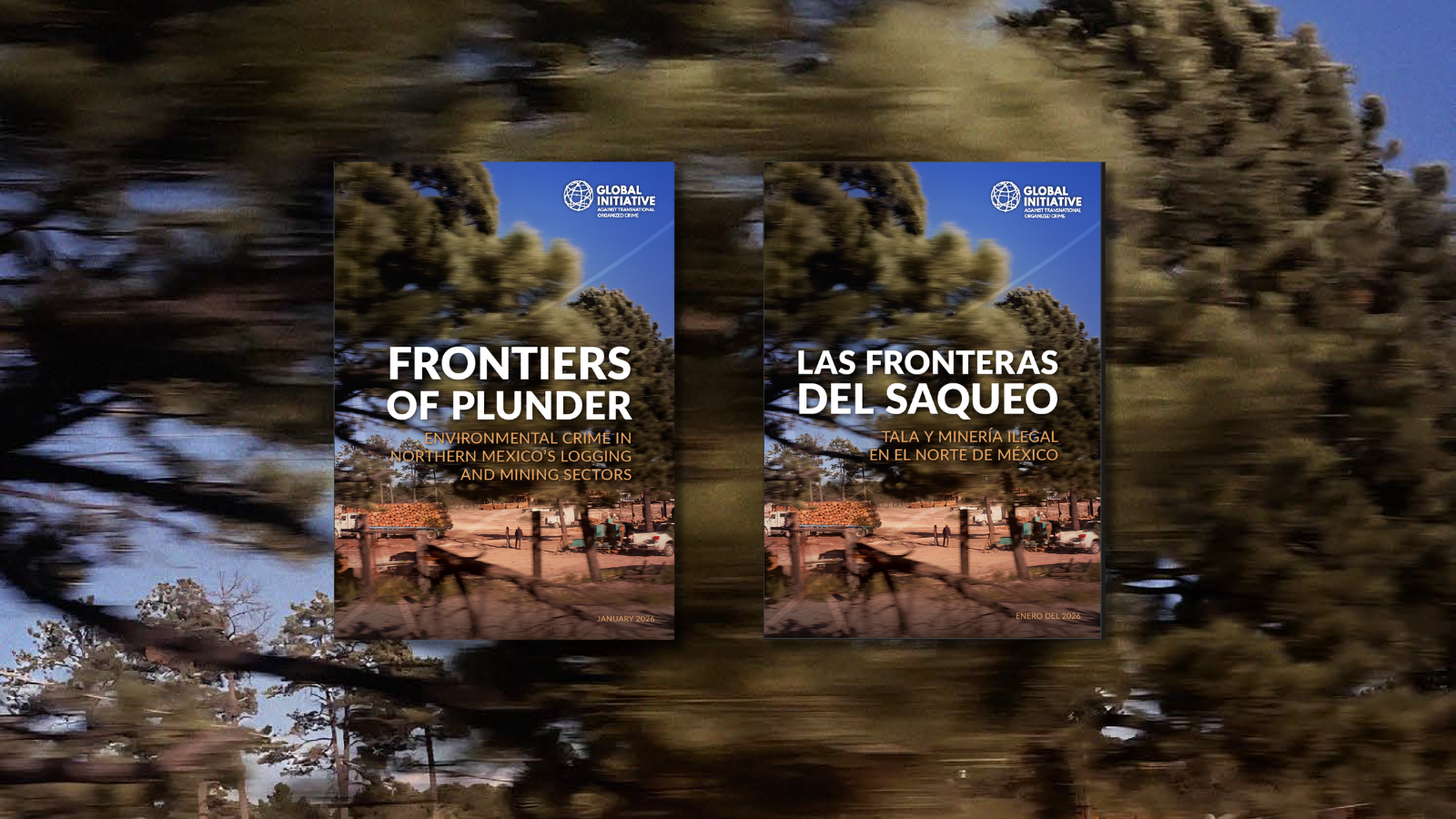 Frontiers of plunder | Global Initiative